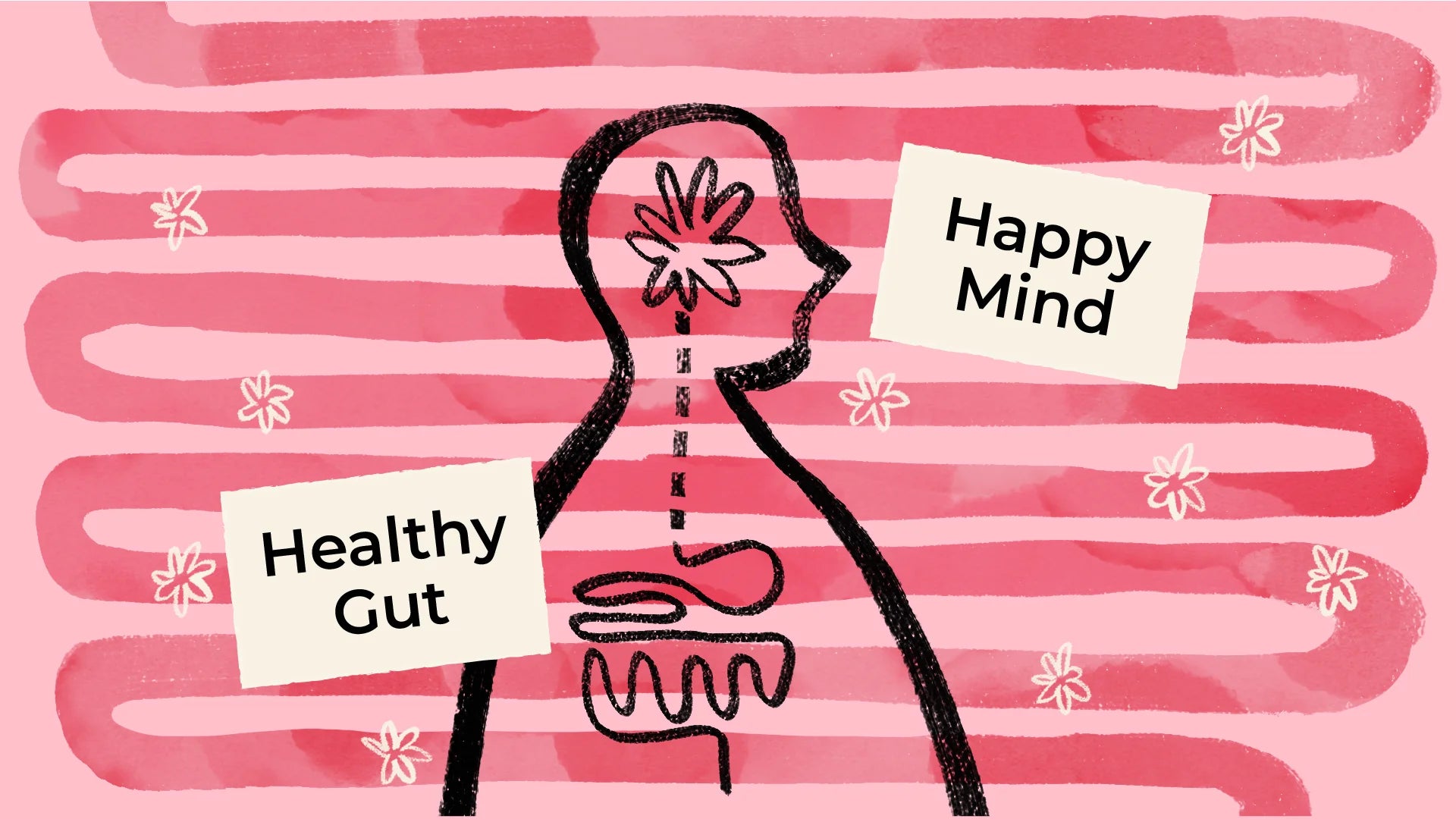 Healthy Gut, Happy Mind – DrCori.com