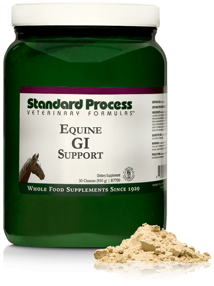 Equine GI Support, 30 oz (850 g) – DrCori.com